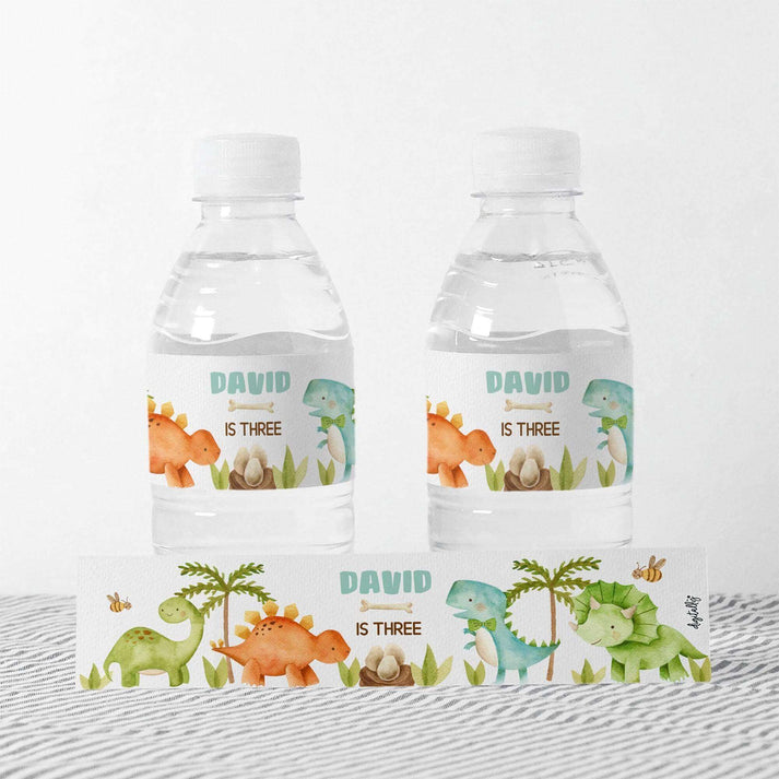 Dinosaurs Party Bottle Labels | Instant Download | Editable Text